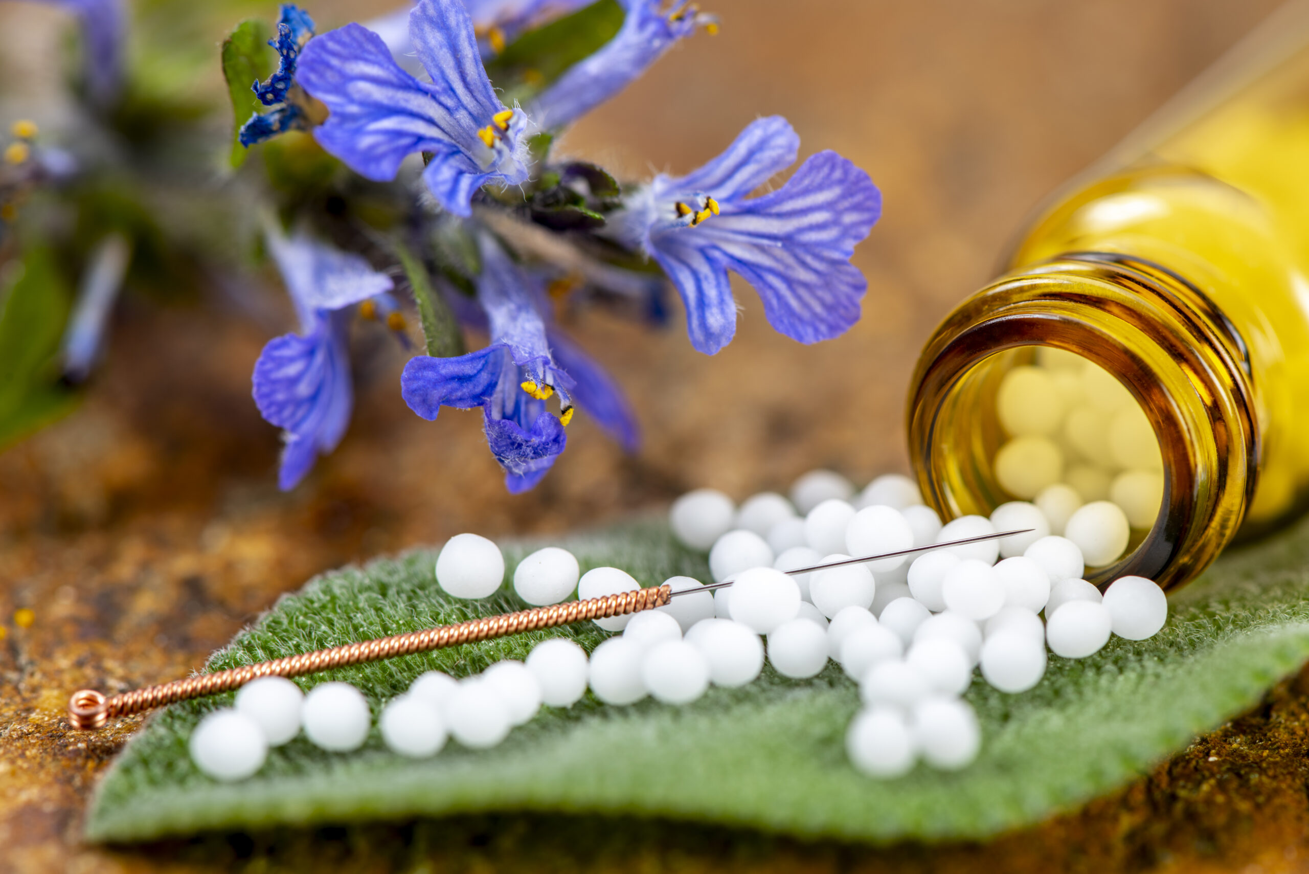 Home - Texas Society of Homeopathy